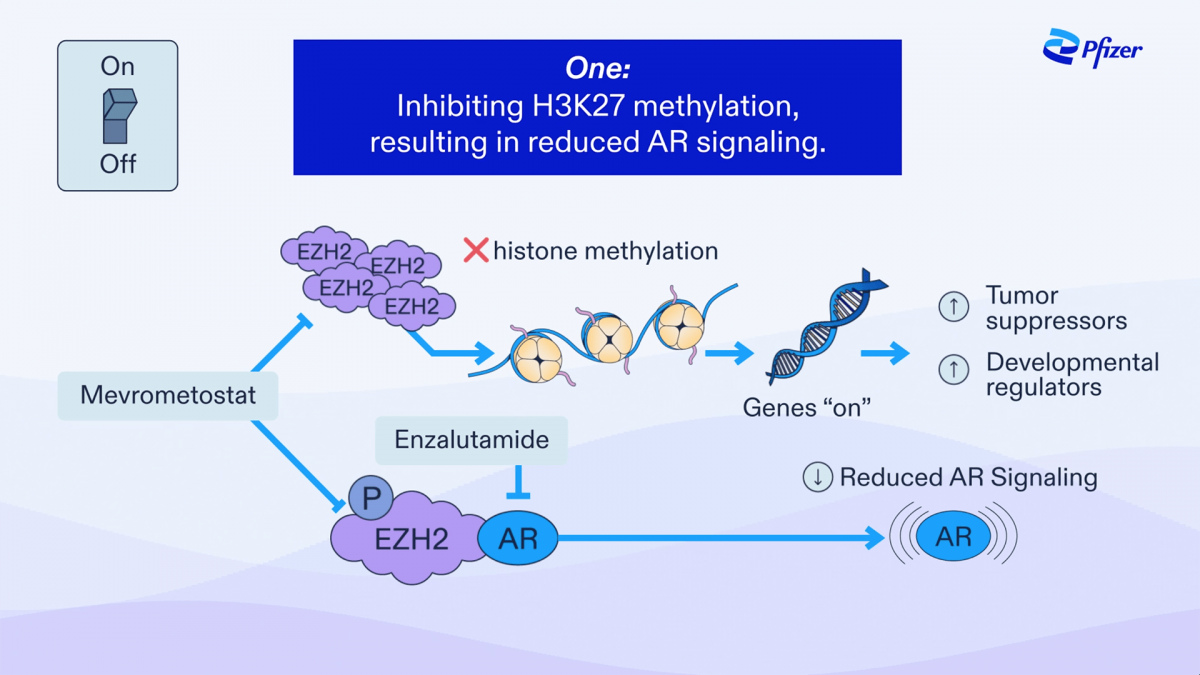 New York Animation and Video | motifmotion